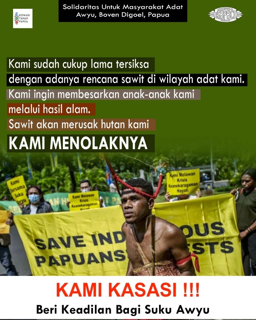 Polemik Baru! Ini Arti Slogan “All Eyes On Papua” yang Viral di Media ...