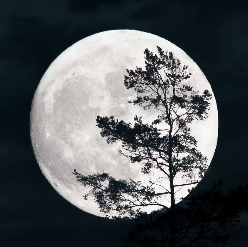 Mengenal 12 Nama Bulan Purnama Beserta Penjelasan dan Doanya