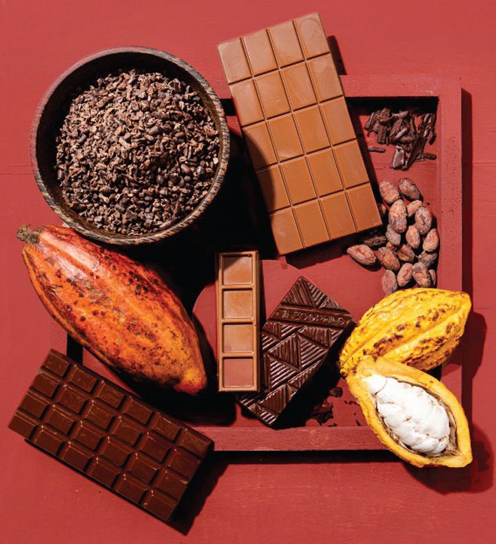 Sambut Valentine, Ketahui 8 Jenis Cokelat di Dunia yang Biasa Dikonsumsi