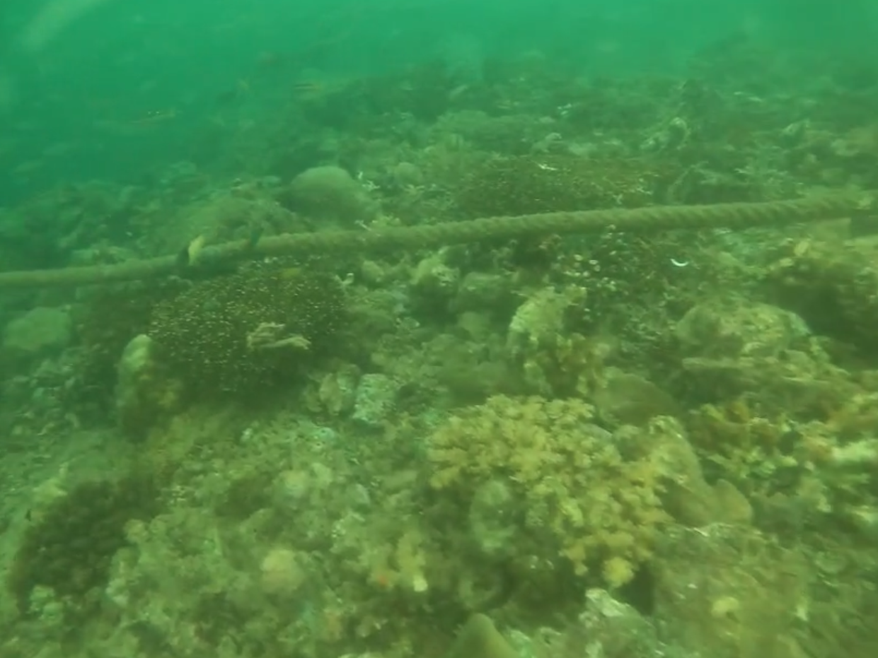 Miris! Spot Terumbu Karang Terbaik di Muara Badak Hancur Diduga ...
