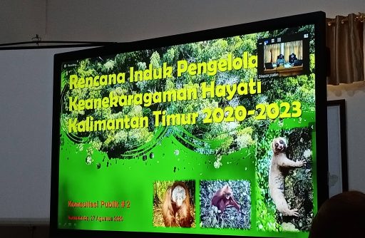 DLH Kaltim Targetkan Penyusunan RIP Kehati Rampung Akhir Tahun 2020 - Kaltim Today